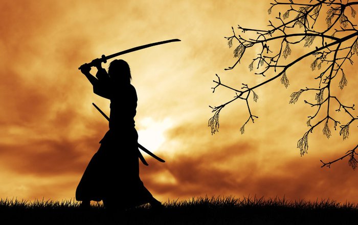 Conheça os 7 Princípios do Bushido :: Shinkiaikido